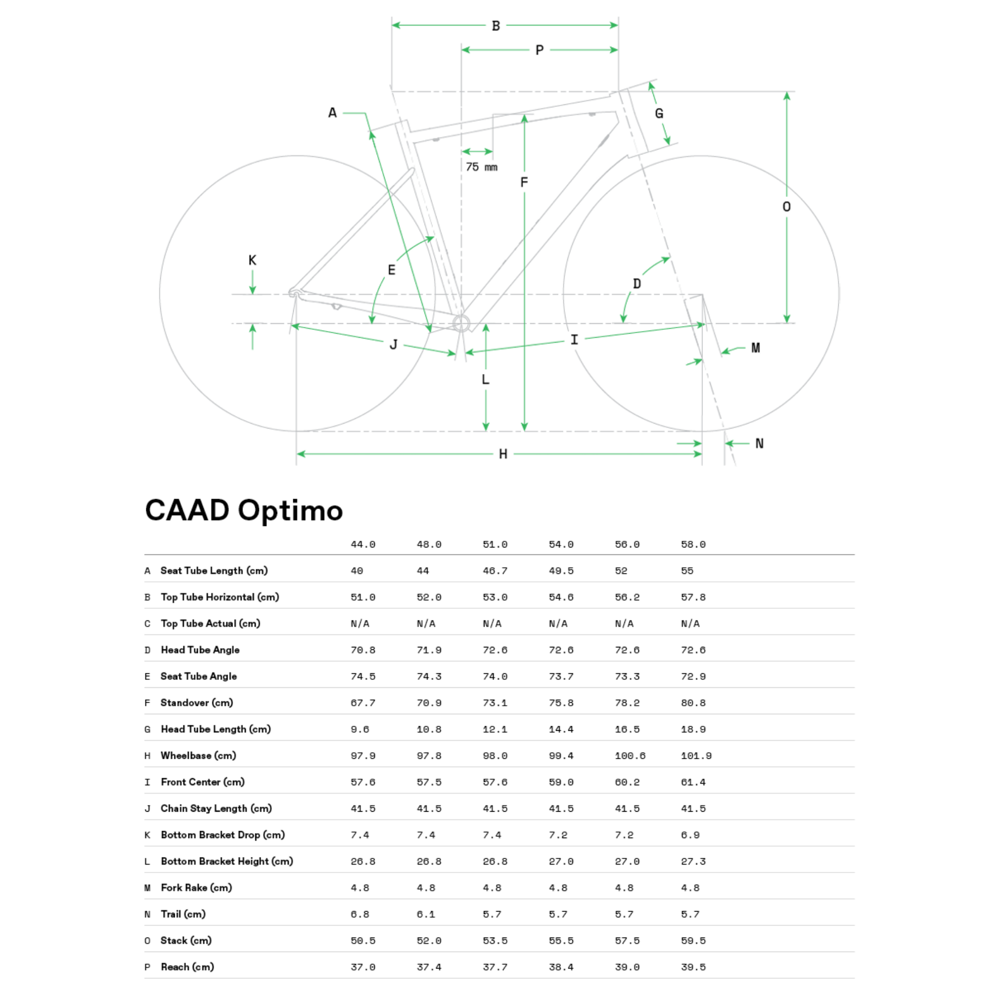 จักรยานเสือหมอบ CANNONDALE CAAD OPTIMO GREEN 44 | Peloton