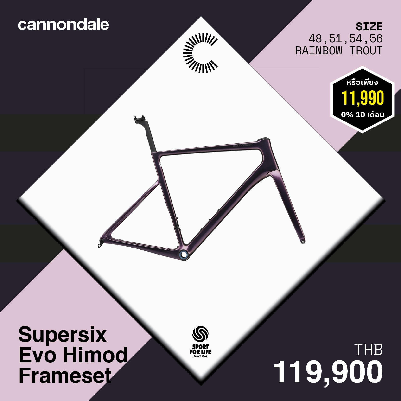 เฟรมเซ็ต 700 U S6 EVO HM DISC A/M FRM RBT 58 | SPORT FOR LIFE