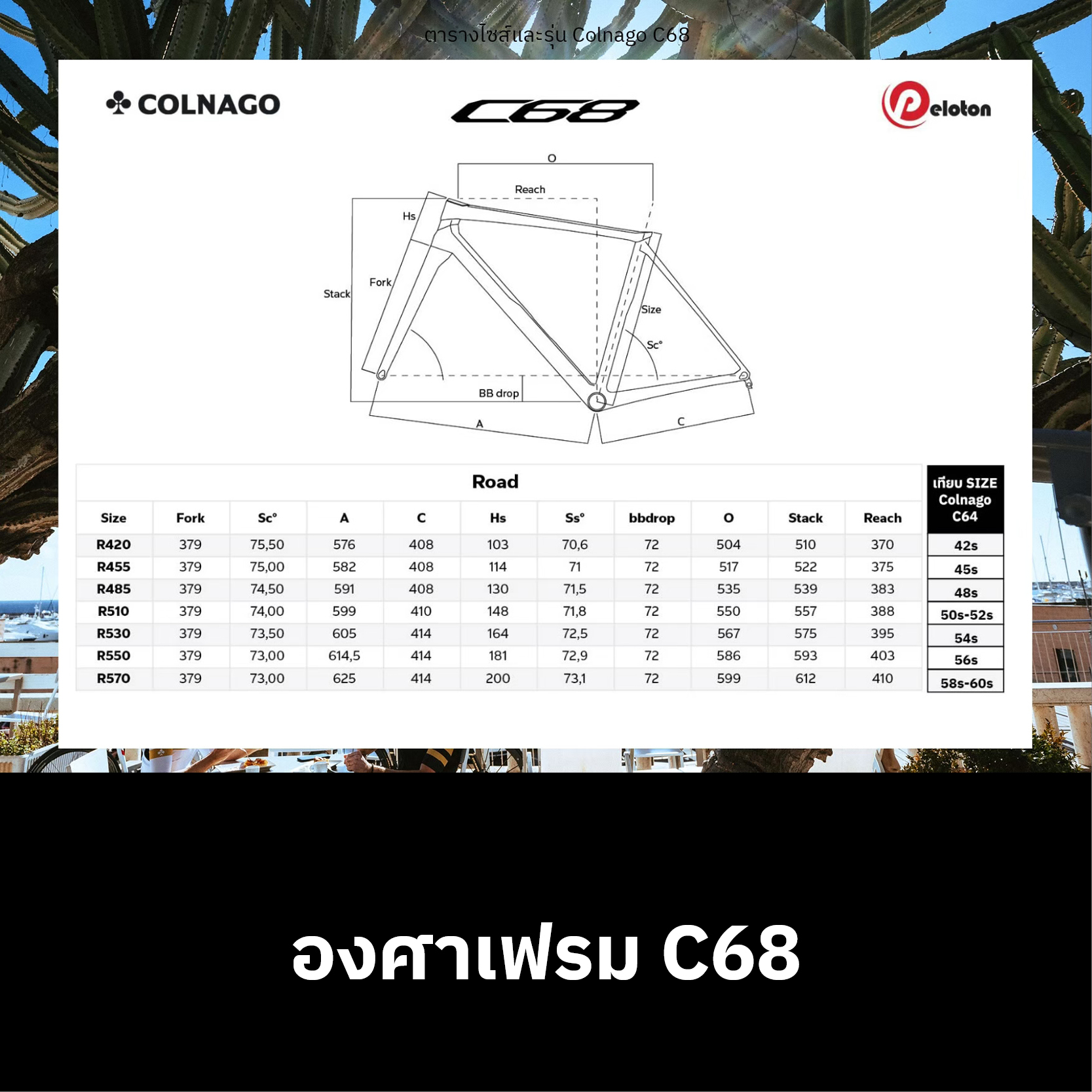 จักรยานเสือหมอบ COLNAGO C68 HRWH 455 | Peloton
